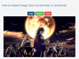 How To Adjust Image Size Dynamically In Javascript Sourcecodester